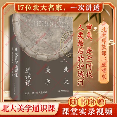 北大美学通识课 彭锋 讲座实录 附赠课堂视频 中国古代佛教艺术欣赏 敦煌艺术 中国美术史 宋代诗词自然观照 北京大学旗舰店正版