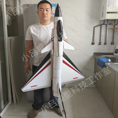 J10歼十歼10J20歼二十歼20国产c919等航模图纸一张涵道大飞机