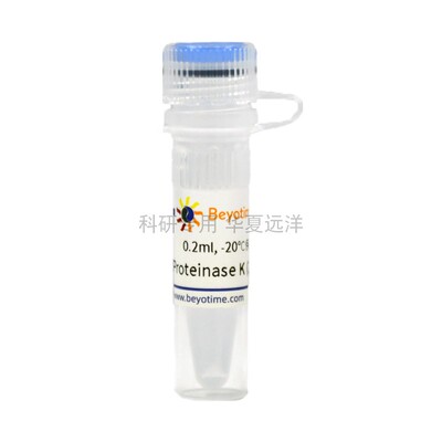 ST533 Proteinase K (20mg/ml) 蛋白酶K 碧云天