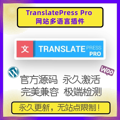 TranslatePress Pro 翻译插件 WP多语言翻译 多语言插件 官方原版