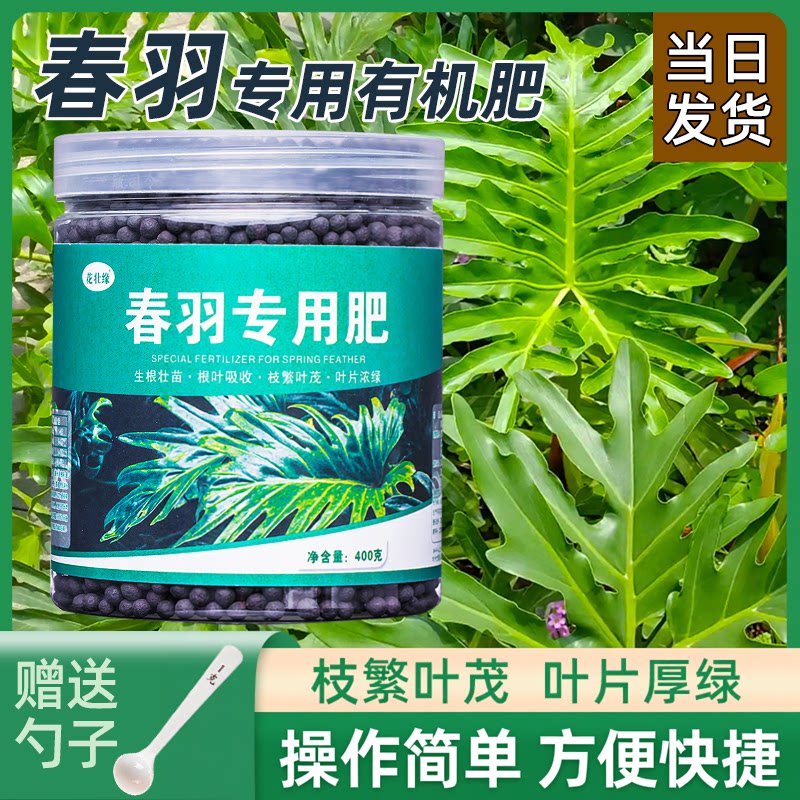龙鳞春羽肥料春雨肥春羽营养液土绿植专用春雨营养液水培植物春芋
