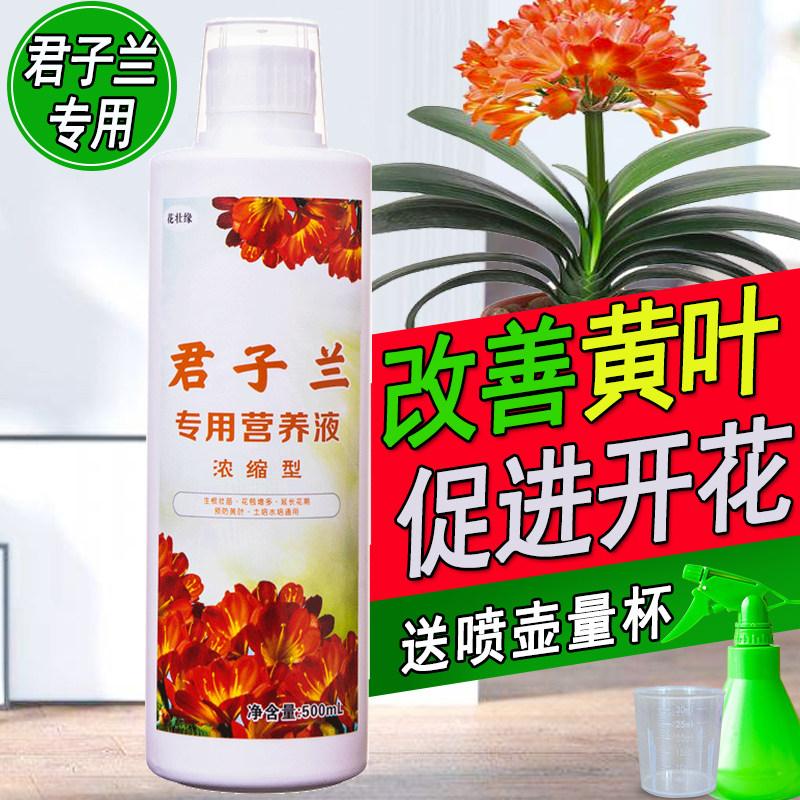 君子兰营养液君子兰肥料专用肥花卉兰花养花水溶肥催花通用花肥盆