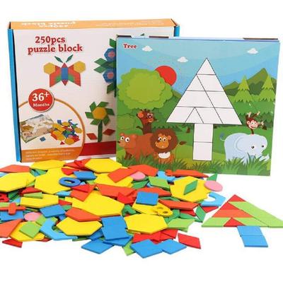 250pcs Tangram Puzzle Pattern Matching Building Blocks