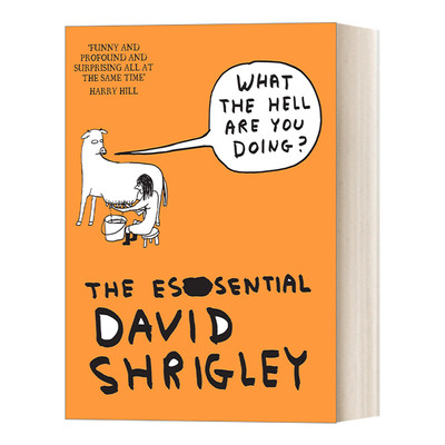 英文原版 What The Hell Are You Doing? 你到底在做什么 英国幽默漫画家大卫 史瑞格里 英文版 进口英语原版书籍