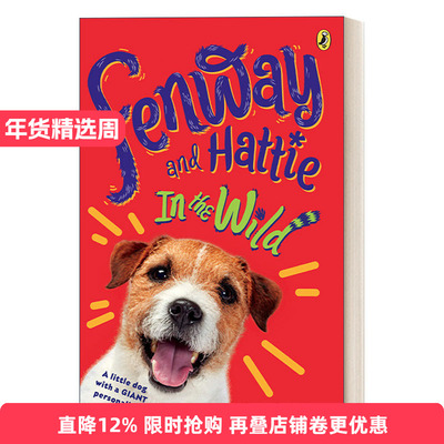 英文版进口英语原版书籍