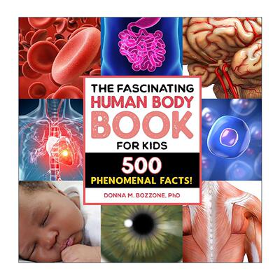英文原版 The Fascinating Human Body Book for Kids 迷人的儿童人体书 全彩插图科普百科 英文版 进口英语原版书籍