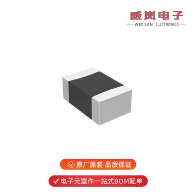 B57451V5103H062|B57442V5103H062|B57421V2222J062原装