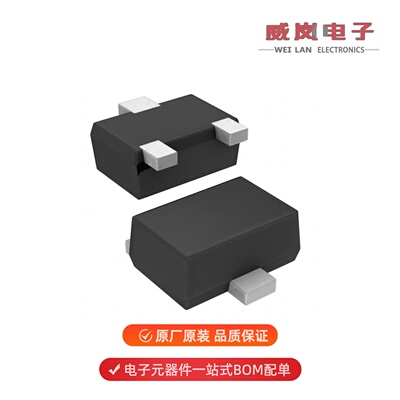 RE1C002UNTCL|RE1C001UNTCL|RDR005N25TL原装