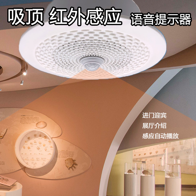吸顶红外人体感应语音提示器展厅迎宾门铃介绍播放内嵌式圆形喇叭