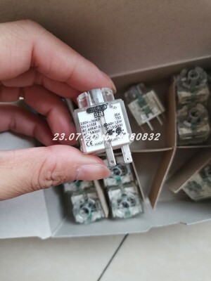 触点SCHLEGELBZLI250VVDE0630