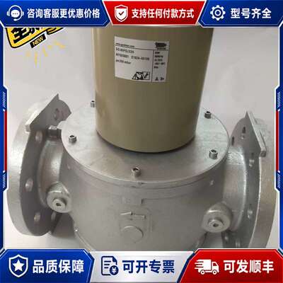 议价SG65FQ/220施能电磁阀SG80FQ/220安全阀可维修