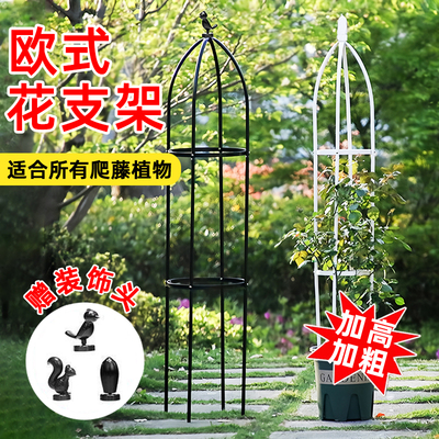 园艺爬藤支撑架藤本月季玫瑰盆栽花支架子防倒铁线莲山乌龟爬藤架