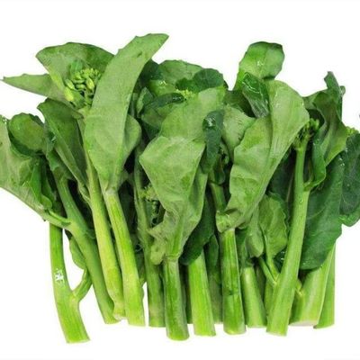 广东芥兰芥蓝现摘现发蔬菜