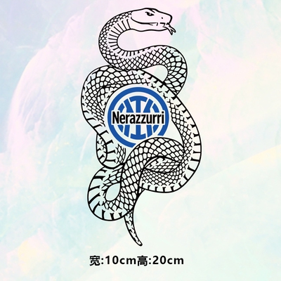 潮牌NERAZZURRI线条蛇图案烫画贴时尚印花衣服贴热转印贴纸