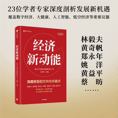 经济新动能 “十五五”林毅夫黄奇帆郑永年黄益平姚洋蔡昉等学者解读中国经济新动向，剖析发展新机遇 中信出版