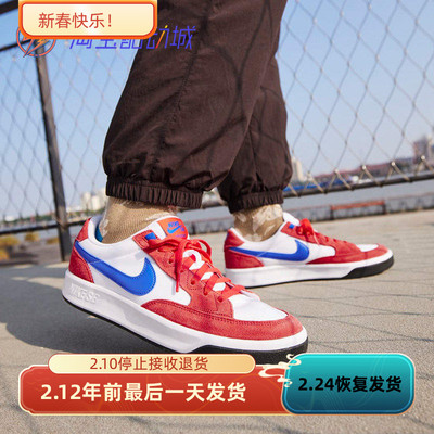 耐克Nike SB 缓震复古滑板运动防滑耐磨低帮休闲板鞋 HM3720-141