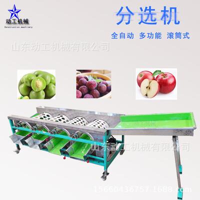 商金桔分选机 轨道式PTR果油洋葱分选机用 姑娘苹果牛果分级机