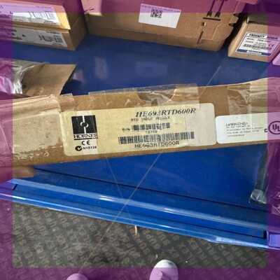 GE Fanuc HE693RTD600R