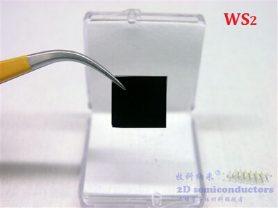 机械剥离单层WS2-micro exfoliated 二维石墨烯薄膜