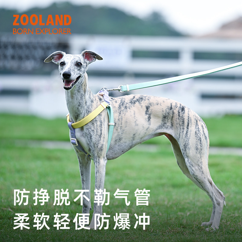 ZOOLAND狗狗牵引绳胸背带式防爆冲幼小中型犬可调节外出遛狗绳子