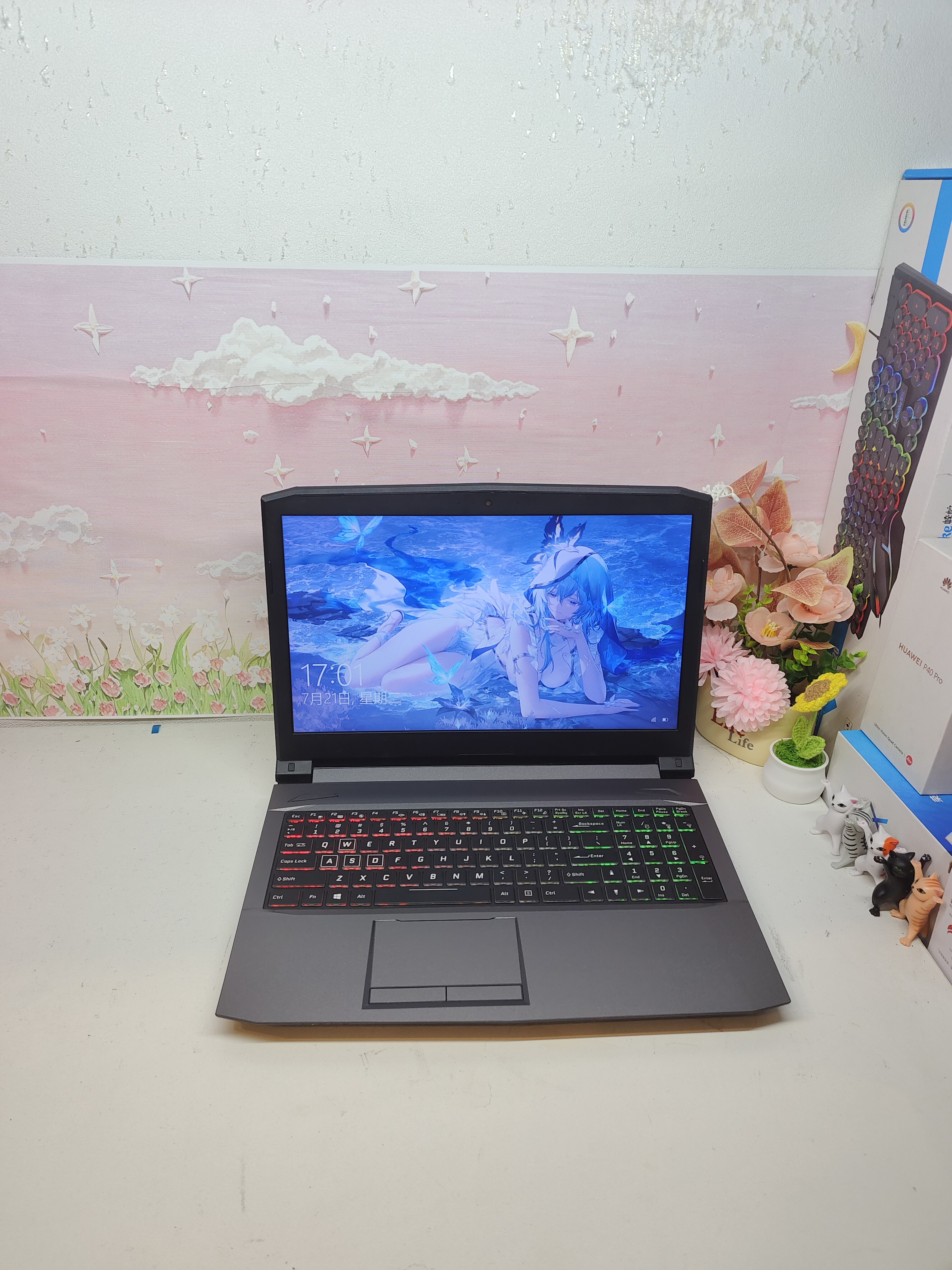 二手机械师游戏本笔记本电脑 7代i7 512G固态硬盘GTX1050 2G独显