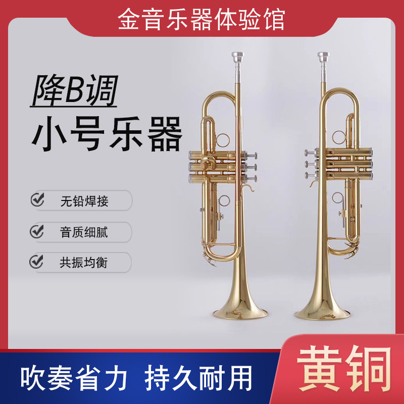 首页 - 金音乐器旗舰店