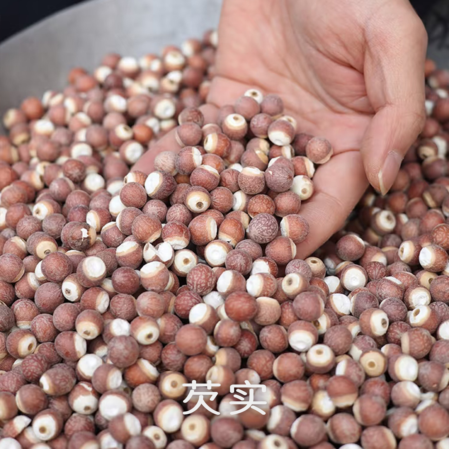 喜己食养·芡实260g*1罐丨肇庆芡实米当季新货整粒大颗芡实鸡头米