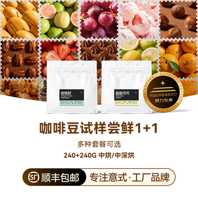 努力有果 精品咖啡豆试样1+1 尝鲜装套餐咖啡豆480g