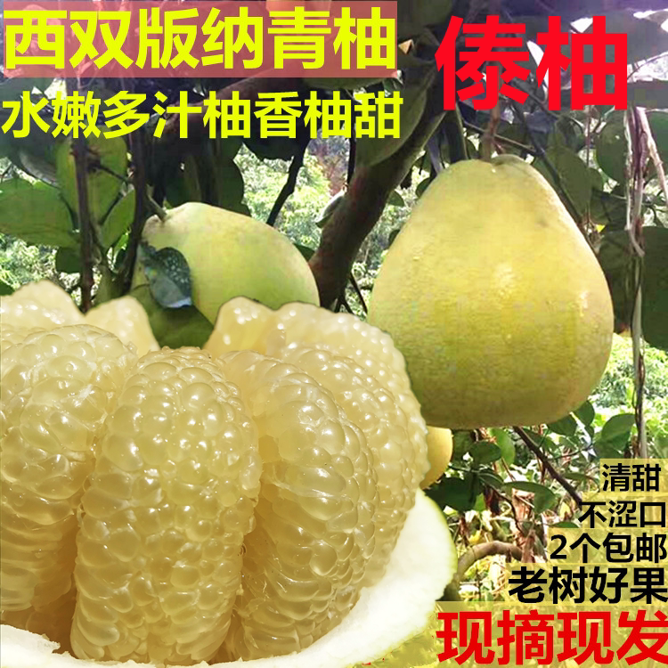 傣柚子东试早云南版纳白心青柚孕妇泡果丑甜蜜酸新鲜当季现摘包邮