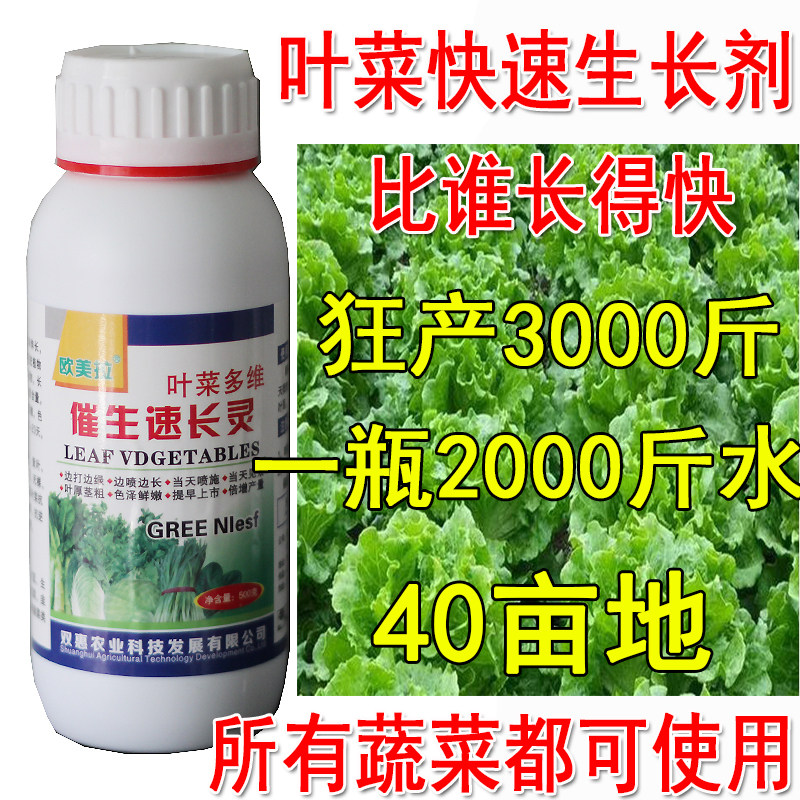 叶菜类 增产叶面肥 甘蓝花菜菠菜青菜生菜白菜香菜芹菜快速生长