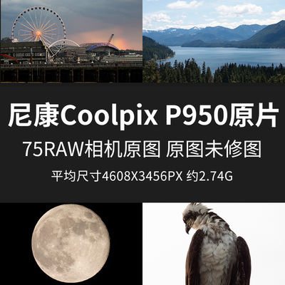尼康CoolpixP950原片原图RAW+JPG相机直出未修练习修图参考素材图