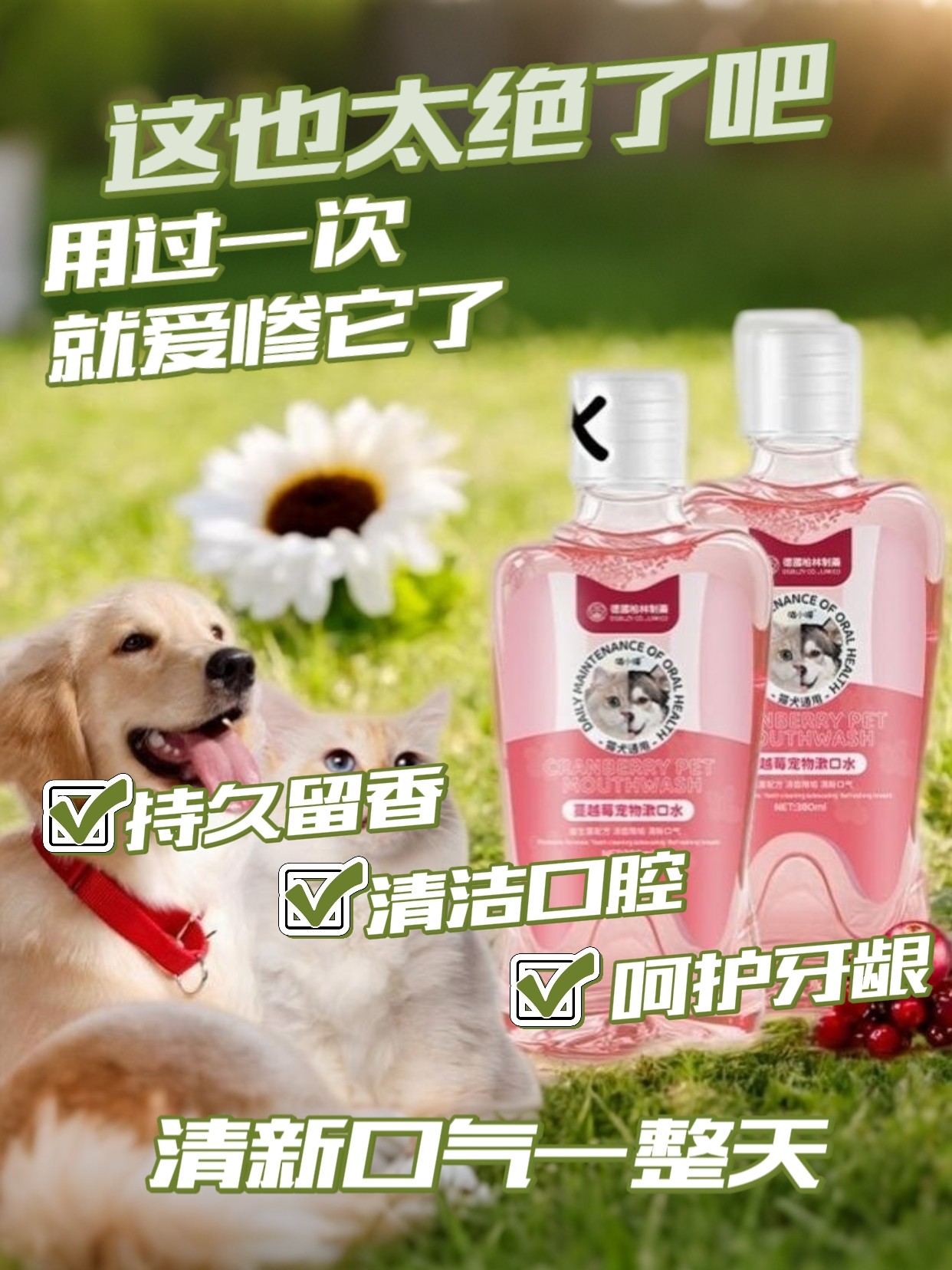 狗狗漱口水除口臭宠物口腔清洁牙结石可饮用猫咪口臭流口水牙红肿