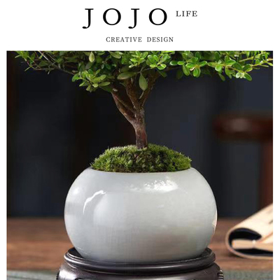 JOJO'SLIFEPD绿植叶盆景办公室