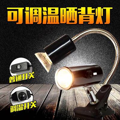 爬宠灯架乌龟鬃狮蜥蜴uvab加热