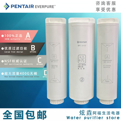 滨特尔V3000-2000-ER1通用净水器
