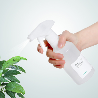 庭院花卉泰迪菊阳台室内