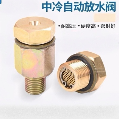 原厂中冷自动排水阀10丝16丝22丝中冷器货车天然气车燃气车排气阀