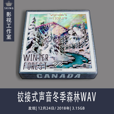 Articulated Sounds铰接式声音冬季森林WAV-DISCOVER