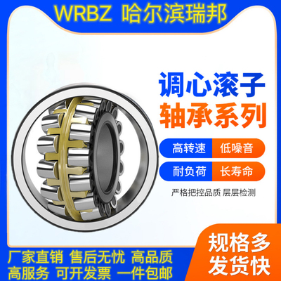 瑞邦轴承22314 22315 22316 22317 22318 22319CA CC E /MBKW33