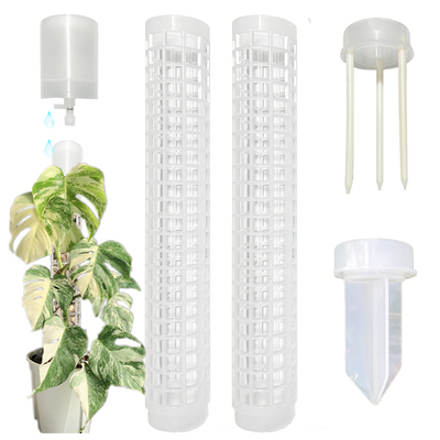 圆形龟背竹蔓绿绒水苔柱植物支撑