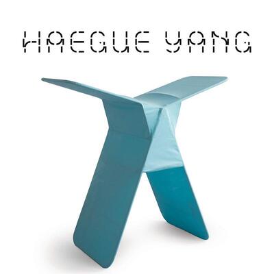 【现货】梁惠圭：浮现 Haegue Yang: Emergence 原版英文艺术画册画集