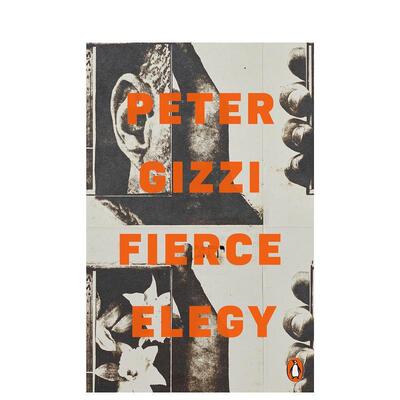 【预售】激烈的挽歌 Fierce Elegy 原版英文诗歌