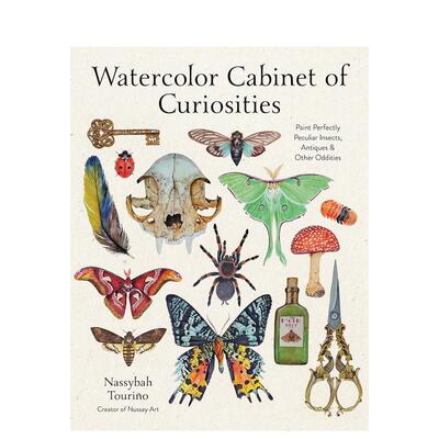 【现货】奇珍异宝：完美描绘奇异昆虫、古董及其他奇异之物的水彩画 Watercolor Cabinet of Curiosities 原版英文艺术画册画集
