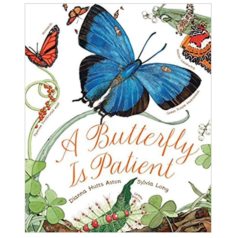 【预售】A Butterfly Is Patient耐心的蝴蝶 大自然绘本系列 英文原