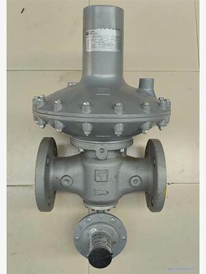 意大利 菲奥 Pietro  Fiorentini 燃气调压议价商品