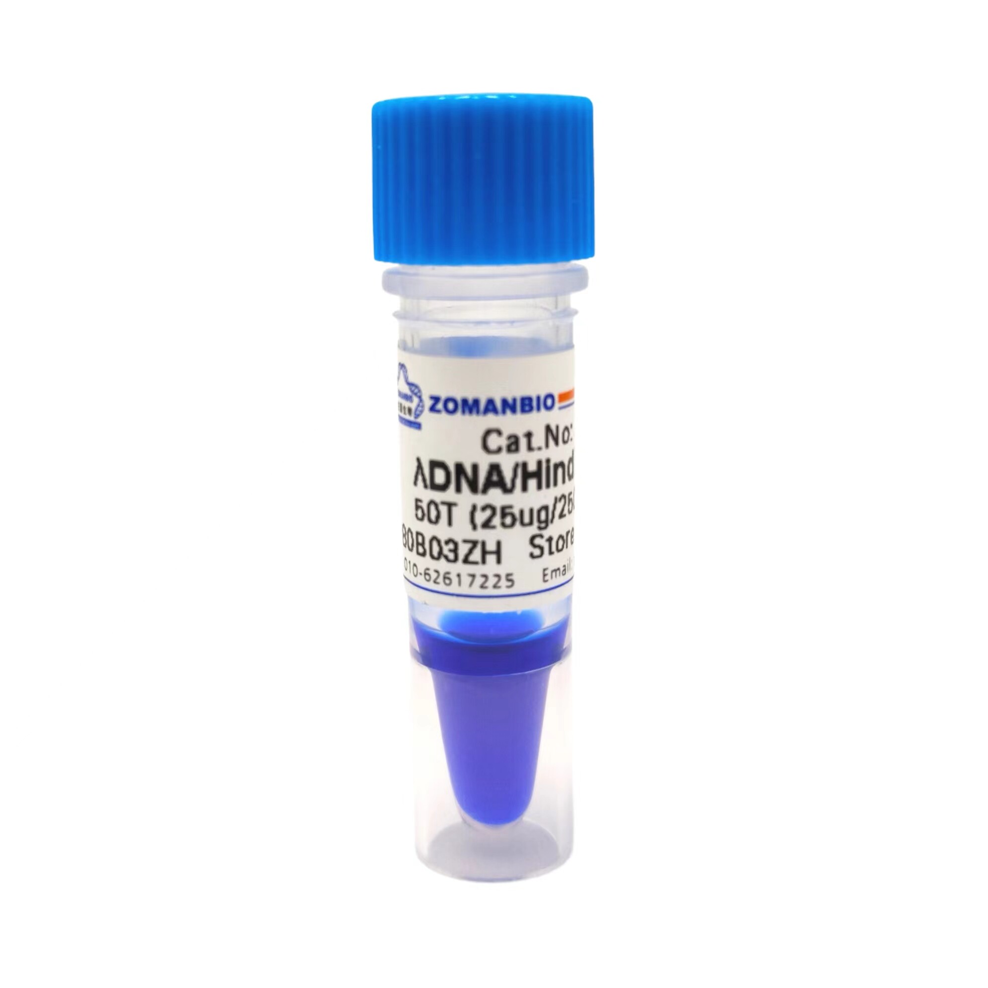 λDNA/HindⅢ DNA Marker DNA Ladder
