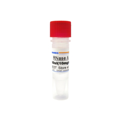 RNase A RNaseA 10mg/ml 100mg/ml 核糖核酸酶A溶液 质粒提取