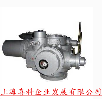 DZW180-DS1阀门电动装置 阀门执行器 阀门驱动装置