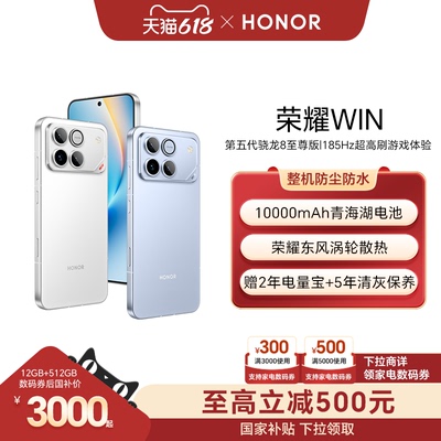 荣耀WIN10000mAh青海湖电池