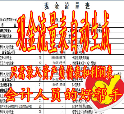 订做税务银行报税贷款会计财务报表现金流量表自动生成